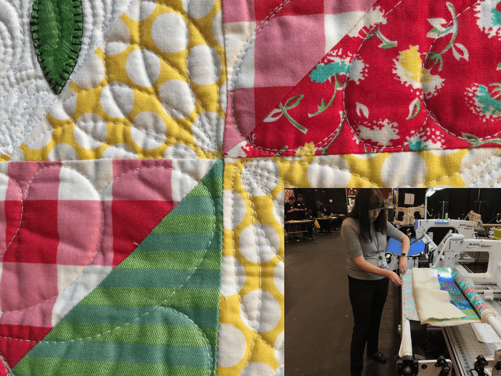 Feathers and Fill Designs > Skill Builder Classes > Kathy Quilts